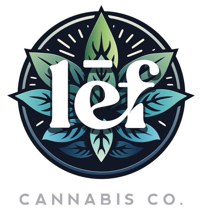 Lēf 4/20 Celebration - Michigan Vintage Volkswagen Club